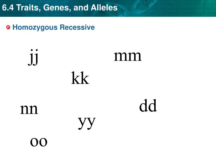 PPT - Set up Cornell Notes on pg. Topic: 6.4 Genes, Traits, Alleles ...