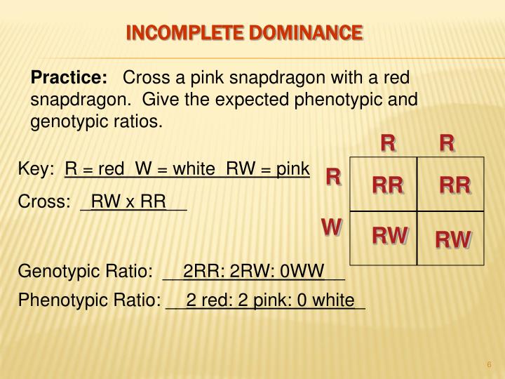 PPT - INCOMPLETE DOMINANCE AND CODOMINANCE PowerPoint Presentation - ID ...