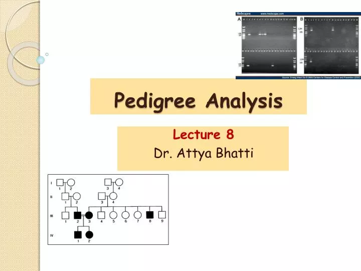 PPT - Pedigree Analysis PowerPoint Presentation, free download - ID:3220147