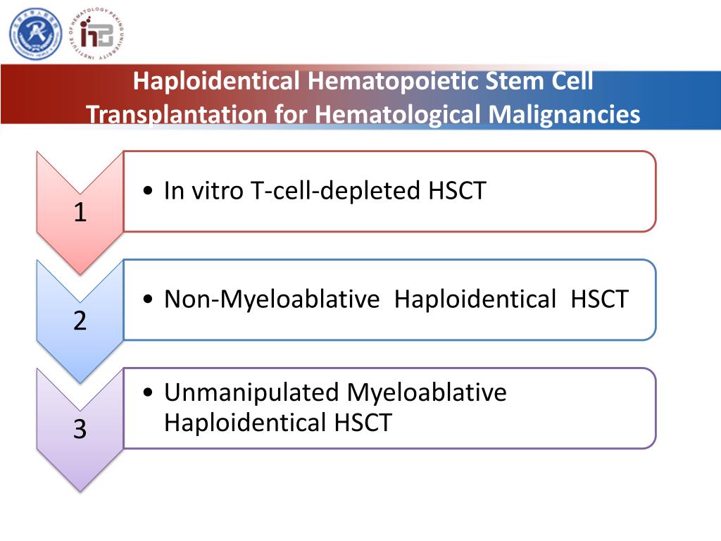 PPT - Haploidentical Hematopoietic Stem Cell Transplantation for ...
