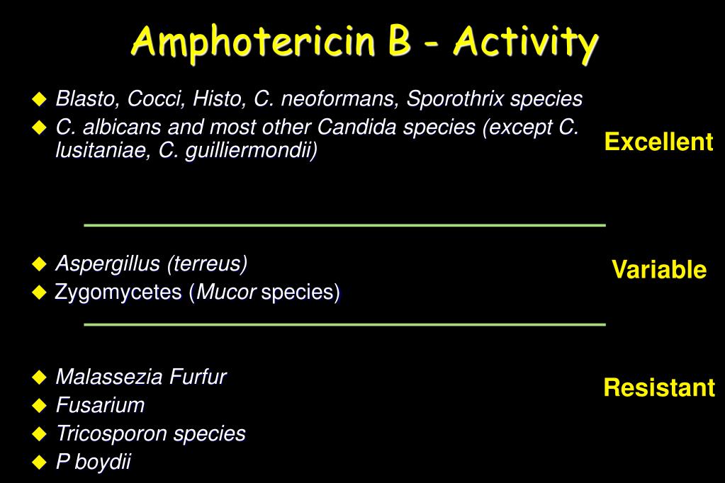 PPT - New(er) Antifungal Drugs and Management of Fungal Infections ...