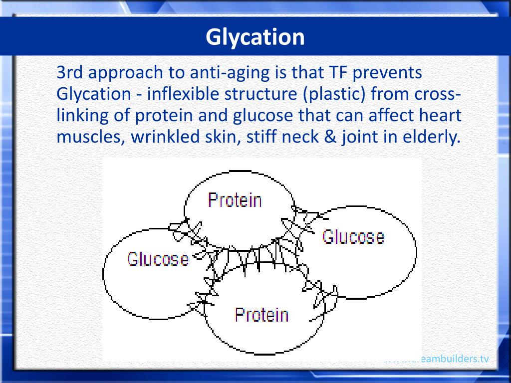 PPT - The Secret to staying Young & Healthy PowerPoint Presentation ...
