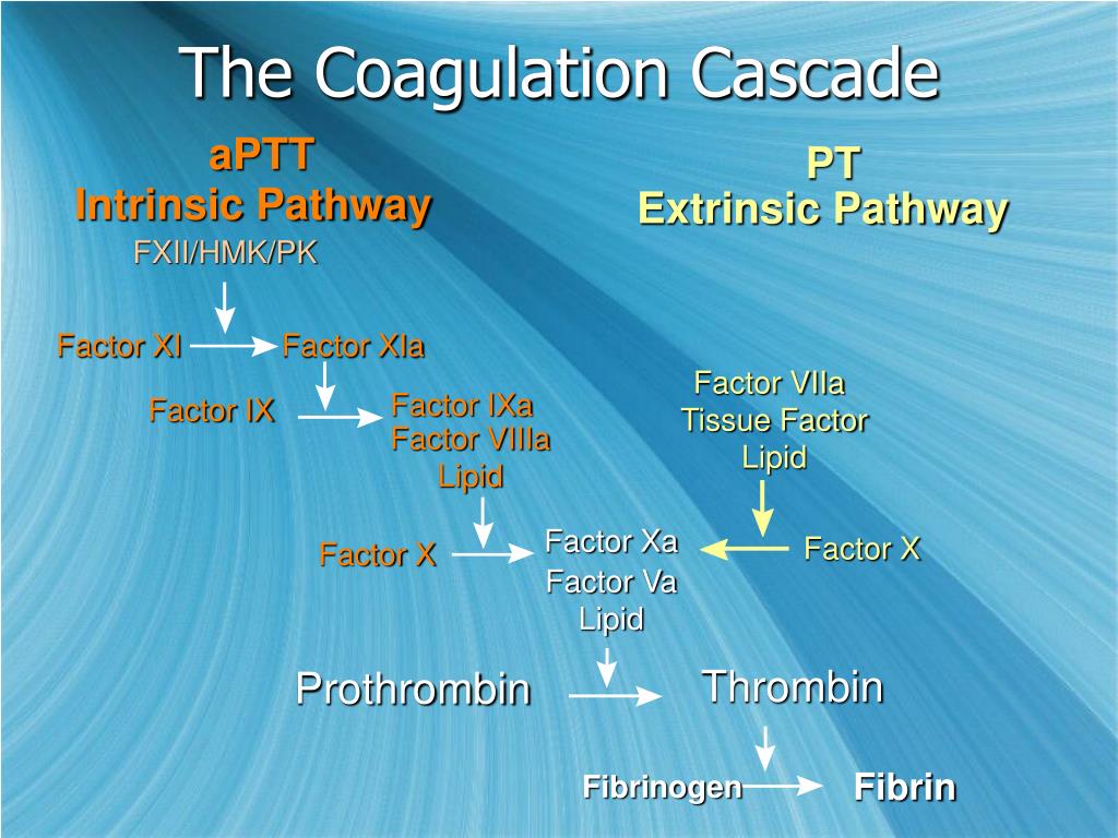 PPT - Coagulation, Fluid, and Blood Management for Cardiac Surgery ...