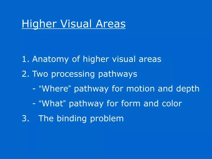 PPT - Higher Visual Areas Anatomy of higher visual areas Two processing ...