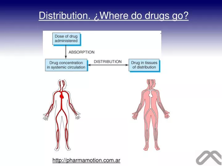 PPT - Distribution. ¿Where do drugs go? PowerPoint Presentation, free ...