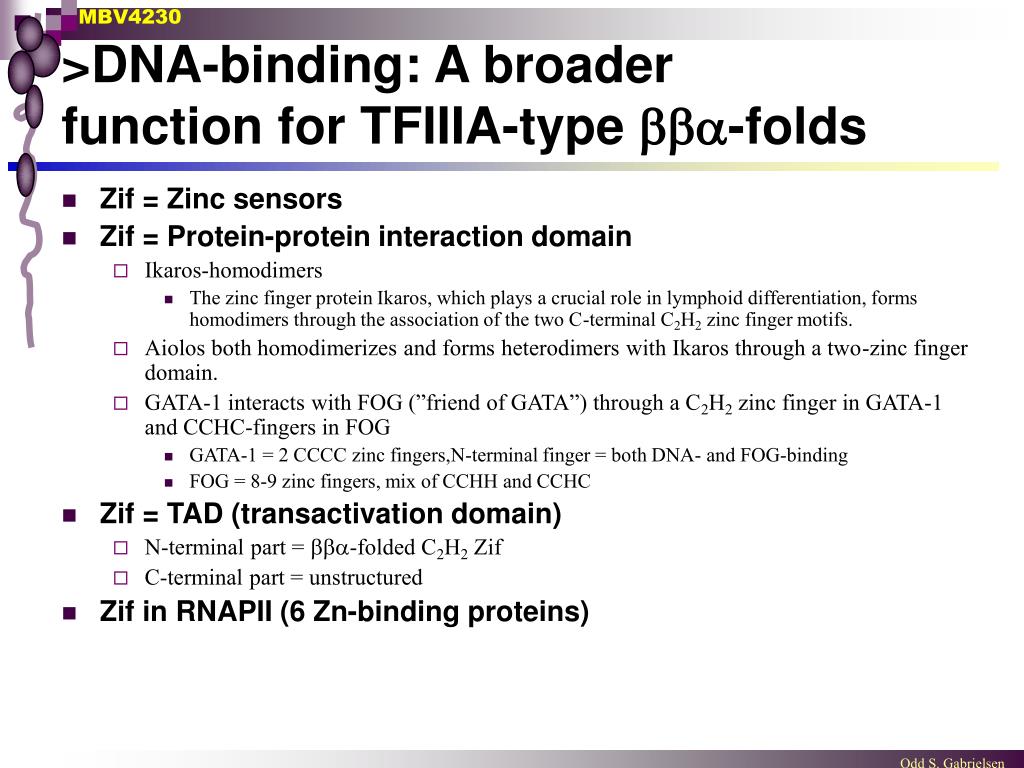 PPT - ZNFs: zinc finger families PowerPoint Presentation, free download - ID:3222715