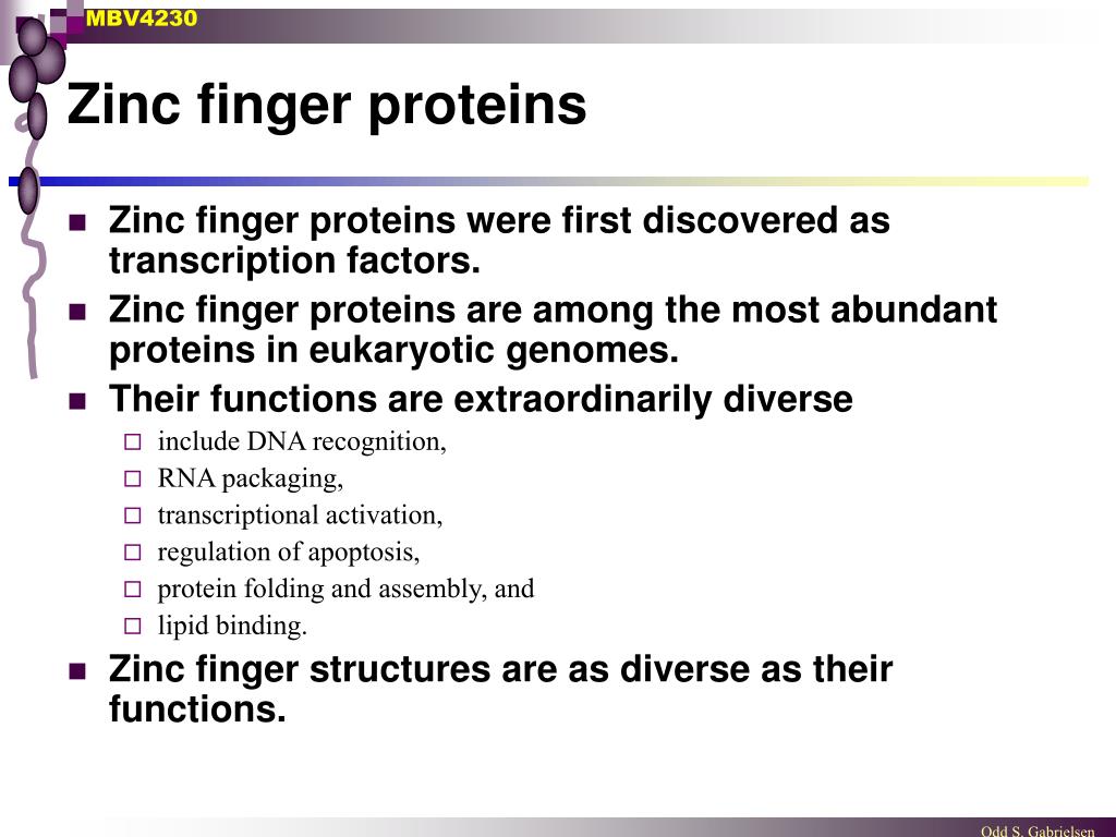 PPT - ZNFs: zinc finger families PowerPoint Presentation, free download ...