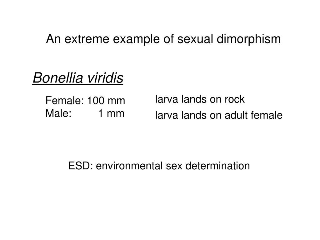 Ppt Sex Understanding Its Biological Significance Powerpoint