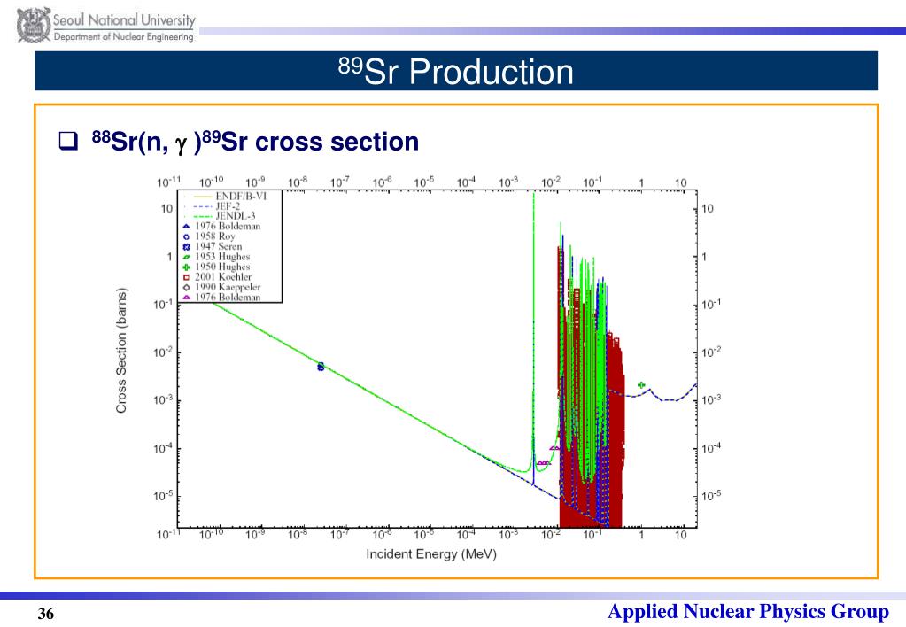 PPT - Neutron (n, ) Cross Section and Decay Data for 32 P, 89 Sr, 131 I ...
