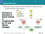 PPT - Blood Flow and the Control of Blood Pressure PowerPoint ...