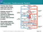 PPT - Blood Flow and the Control of Blood Pressure PowerPoint ...
