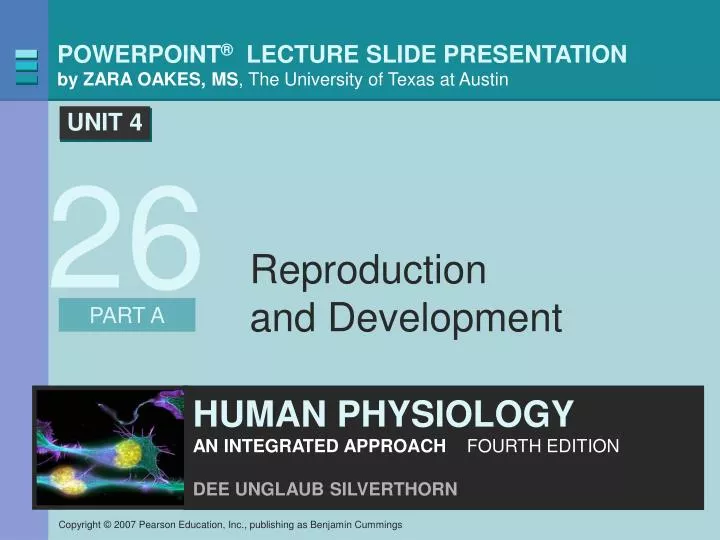 PPT - Reproduction and Development PowerPoint Presentation, free ...
