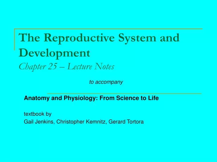 PPT - The Reproductive System and Development Chapter 25 – Lecture ...