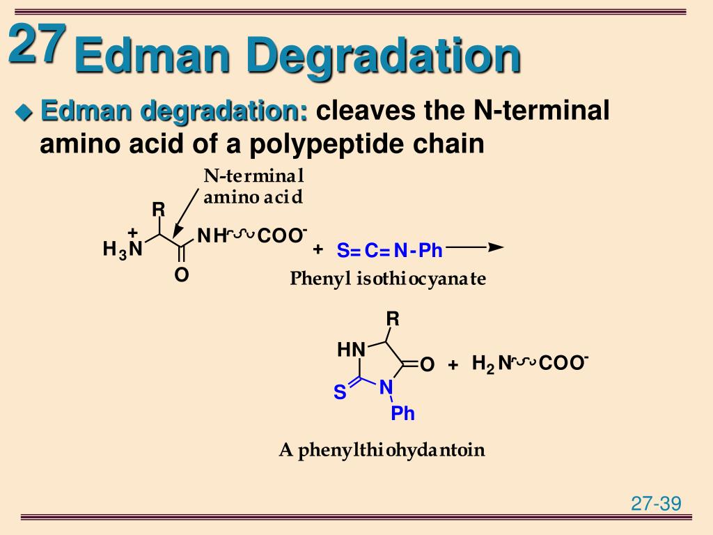 PPT - Organic Chemistry PowerPoint Presentation, free download - ID:3223969