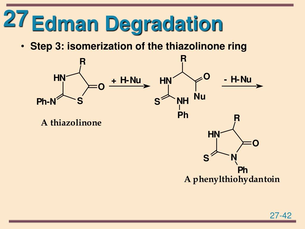 PPT - Organic Chemistry PowerPoint Presentation, free download - ID:3223969