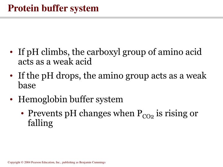 PPT - Chapter 27, part 2 PowerPoint Presentation - ID:3224155