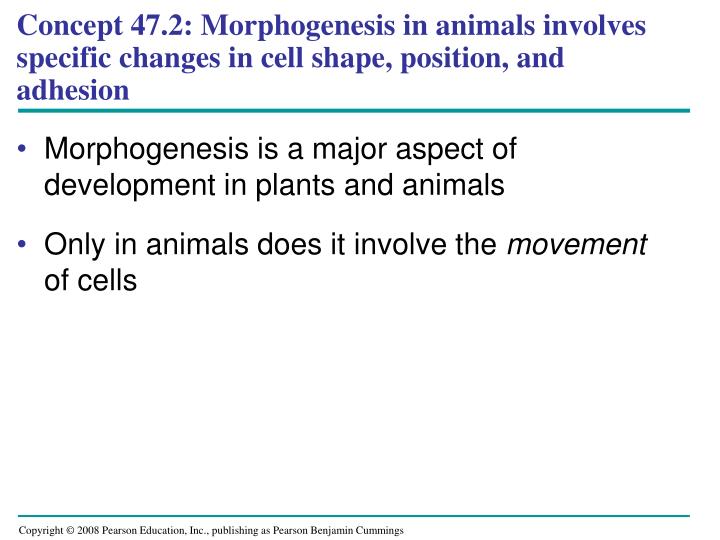 PPT - Chapter 47 PowerPoint Presentation - ID:3224895
