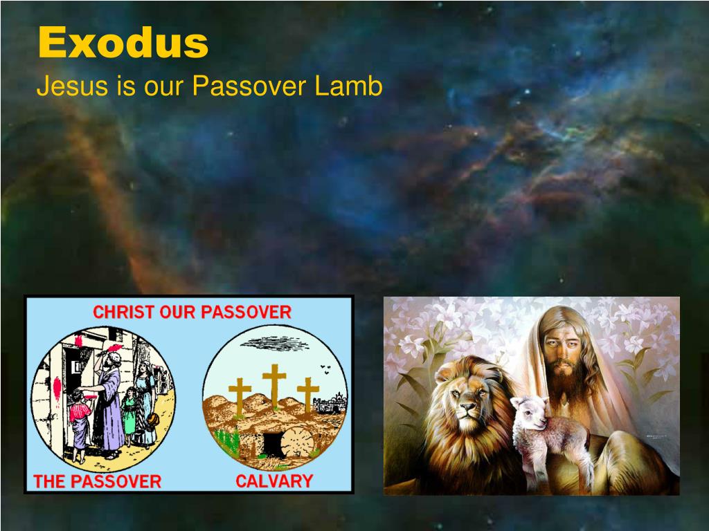 PPT - Christ in the Books of the Bible PowerPoint Presentation, free ...