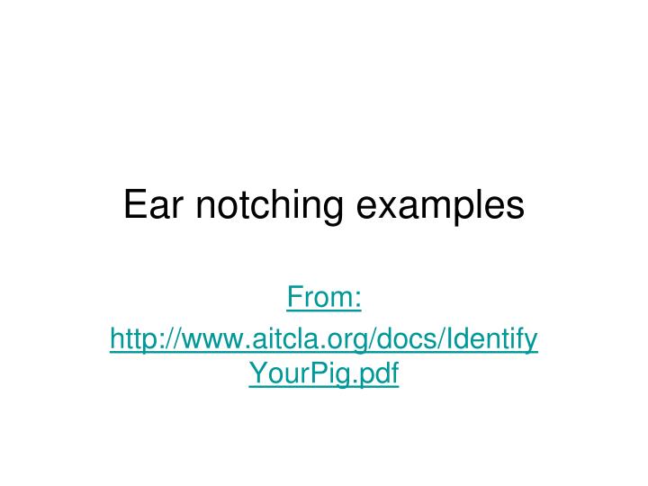 PPT - Ear notching tutorials PowerPoint Presentation - ID:3225759