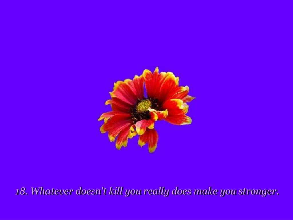 Ppt Words By Regina Brett Powerpoint Presentation Free Download Id