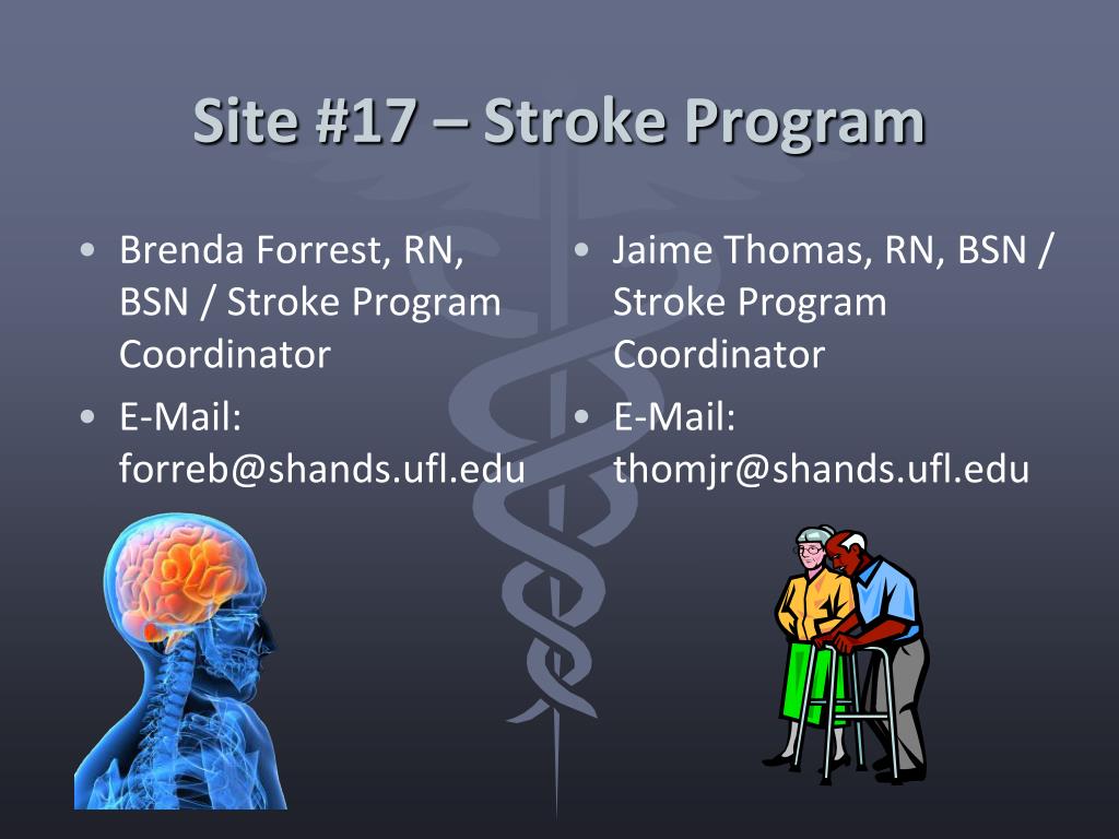 PPT - Health Education Intern Opportunities PowerPoint Presentation ...
