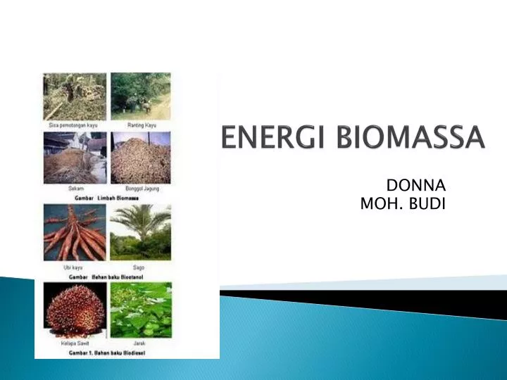 PPT - ENERGI BIOMASSA PowerPoint Presentation, free download - ID:3227251