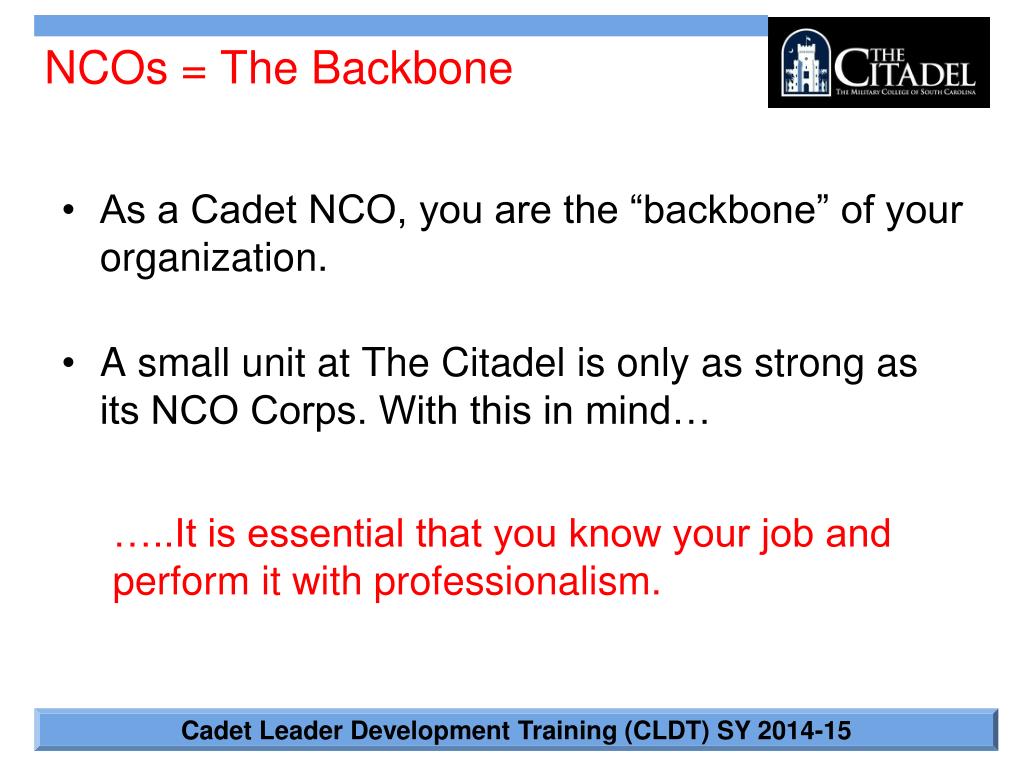 PPT - Noncommissioned Officer (NCO) ROLES AND RESPONSIBILITIES ...