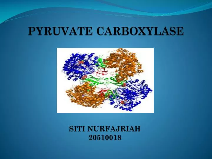 PPT - PYRUVATE CARBOXYLASE PowerPoint Presentation, free download - ID ...