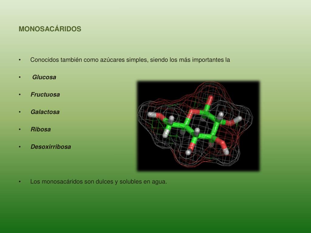 PPT - UNIDAD II LA QUÍMICA DE LOS SERES VIVOS “Biomoléculas orgánicas y ...