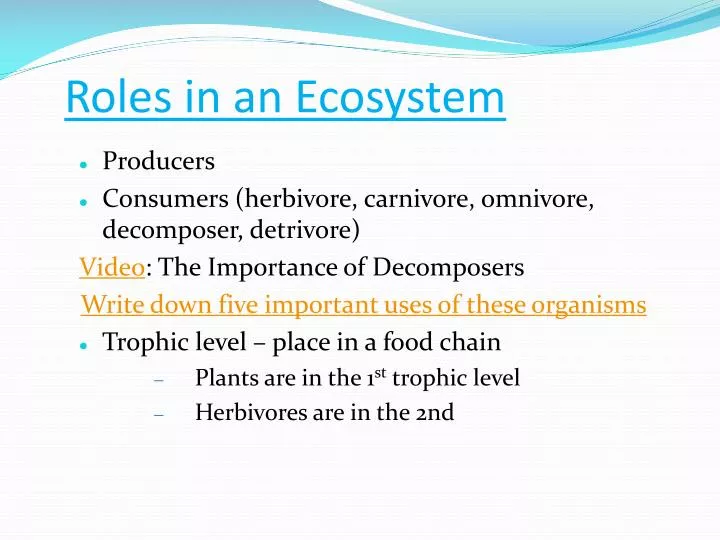 PPT - Roles in an Ecosystem PowerPoint Presentation, free download - ID ...
