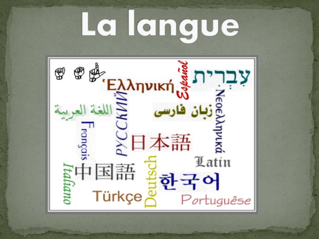 PPT - Les 5 thèmes de la géographie PowerPoint Presentation, free ...