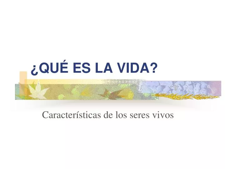 PPT - ¿QUÉ ES LA VIDA? PowerPoint Presentation, free download - ID:3234166