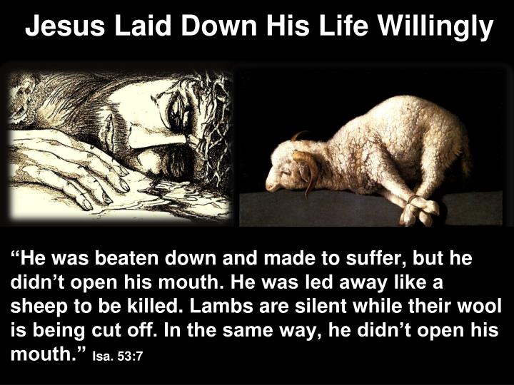 PPT - The Lamb of God PowerPoint Presentation - ID:3234845