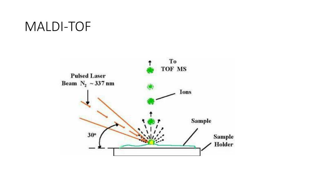 PPT - Outras técnicas de caracterização de polímeros PowerPoint ...