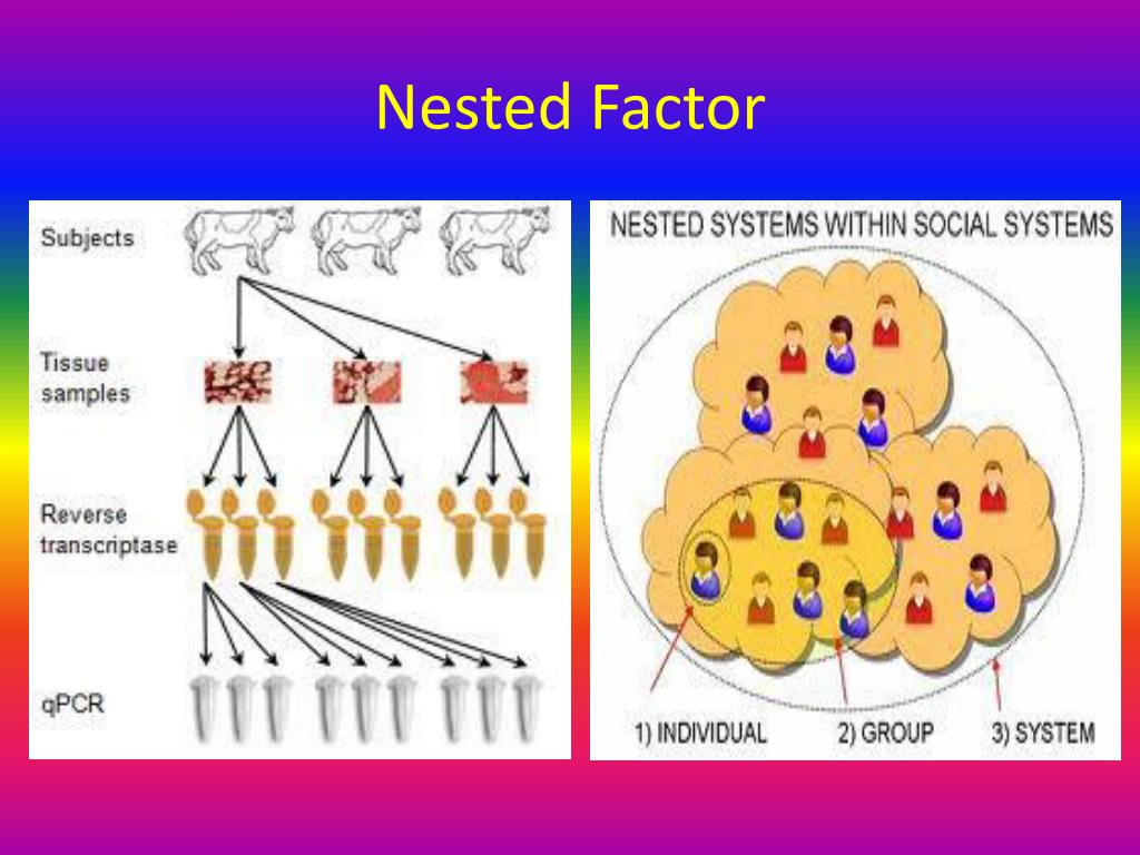 PPT - Rancangan Pola Tersarang Vs Rancangan Petak Terbagi ( bidang ...