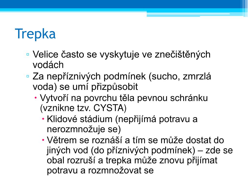 PPT - Živočichové rybníka PowerPoint Presentation, free download - ID ...