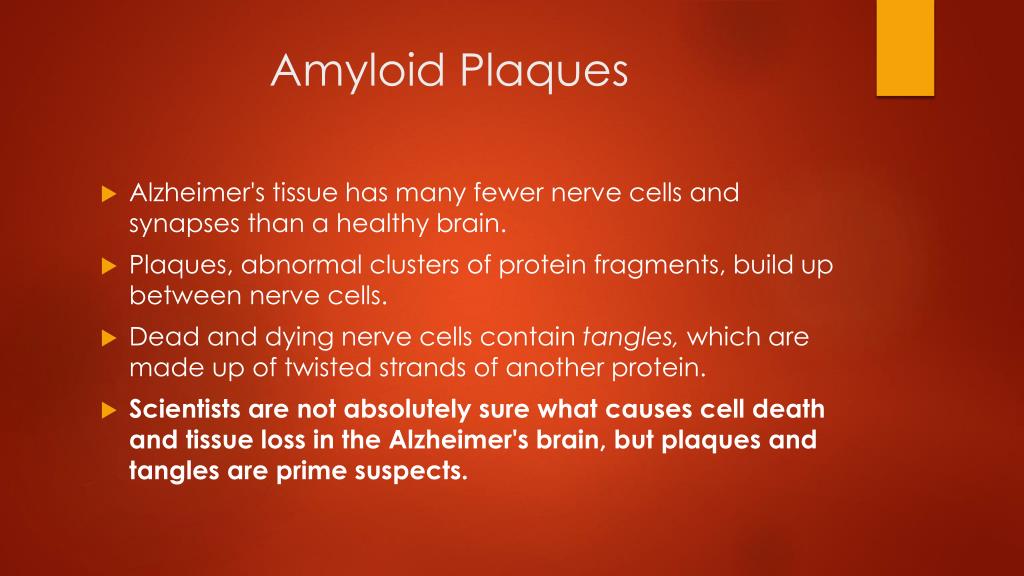 PPT - How Heat Can Affect the Development of Amyloid Plaques in ...