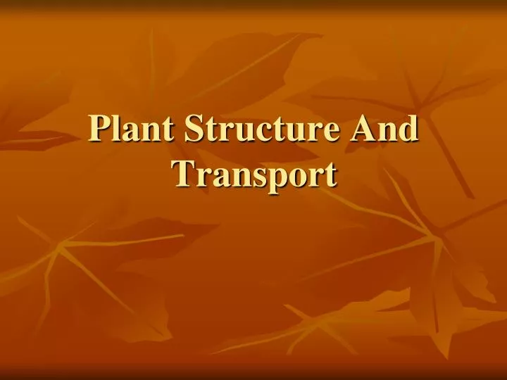 PPT - Plant Structure And Transport PowerPoint Presentation, free ...