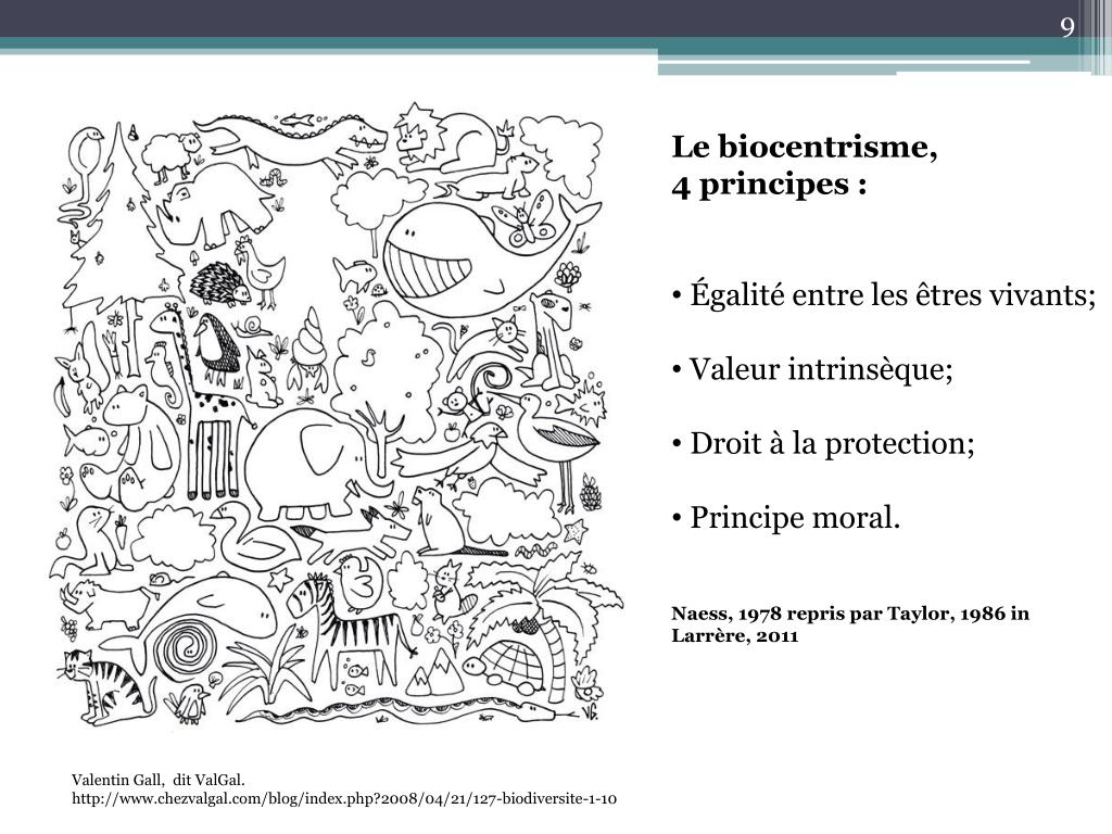 PPT - Vers un culte contemporain de la nature ? PowerPoint Presentation ...