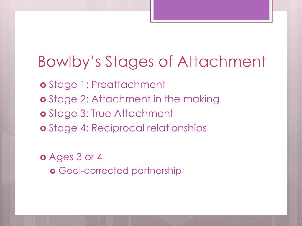 4 Stages Of Attachment Explained Bowlby S Theory 2023 - vrogue.co 4 Stages Of Attachment Explained Bowlby S Theory 2023 - vrogue.co