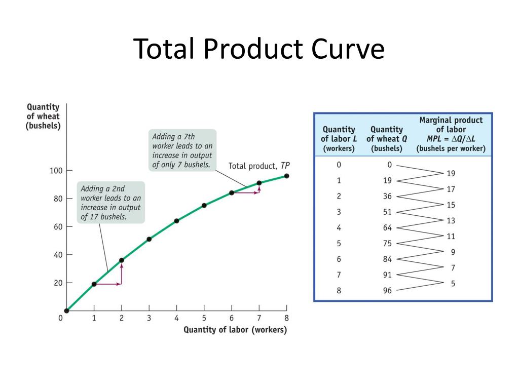 PPT - Microeconomics Graphs PowerPoint Presentation, free download - ID ... PPT - Microeconomics Graphs PowerPoint Presentation, free download - ID ...