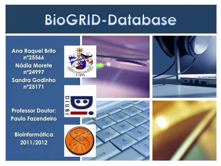 PPT - BioGRID -Database PowerPoint Presentation, free download - ID:3247560