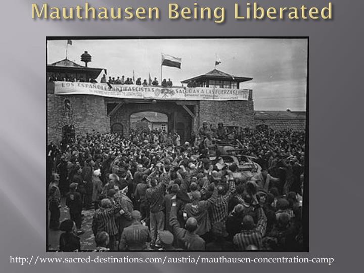PPT - The Concentration Camps of The Holocaust PowerPoint Presentation ...