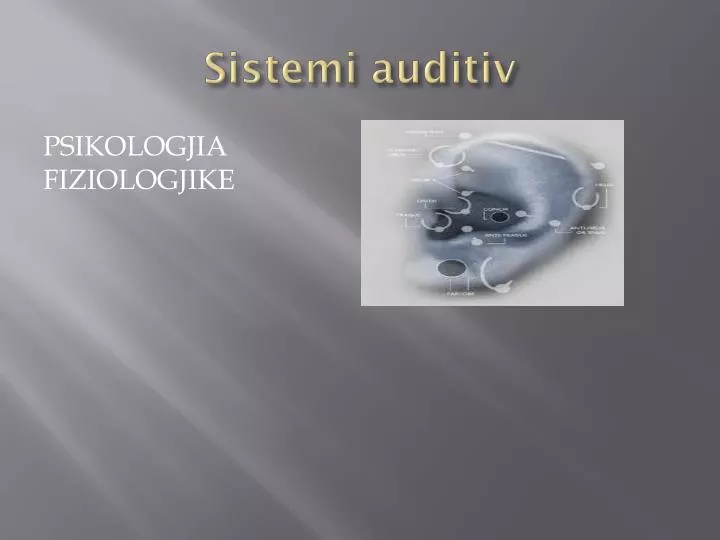 PPT - Sistemi auditiv PowerPoint Presentation, free download - ID:3249063