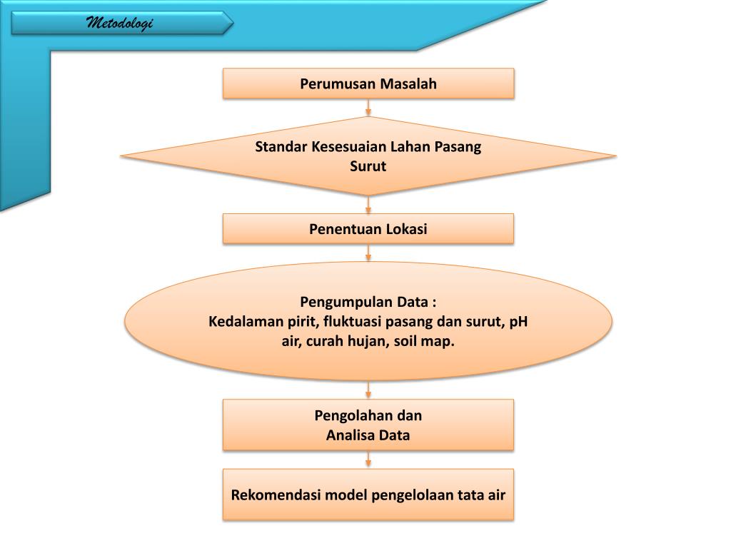 PPT - Contoh Observasi Lapangan di Lahan Sulfat Masam PowerPoint ...