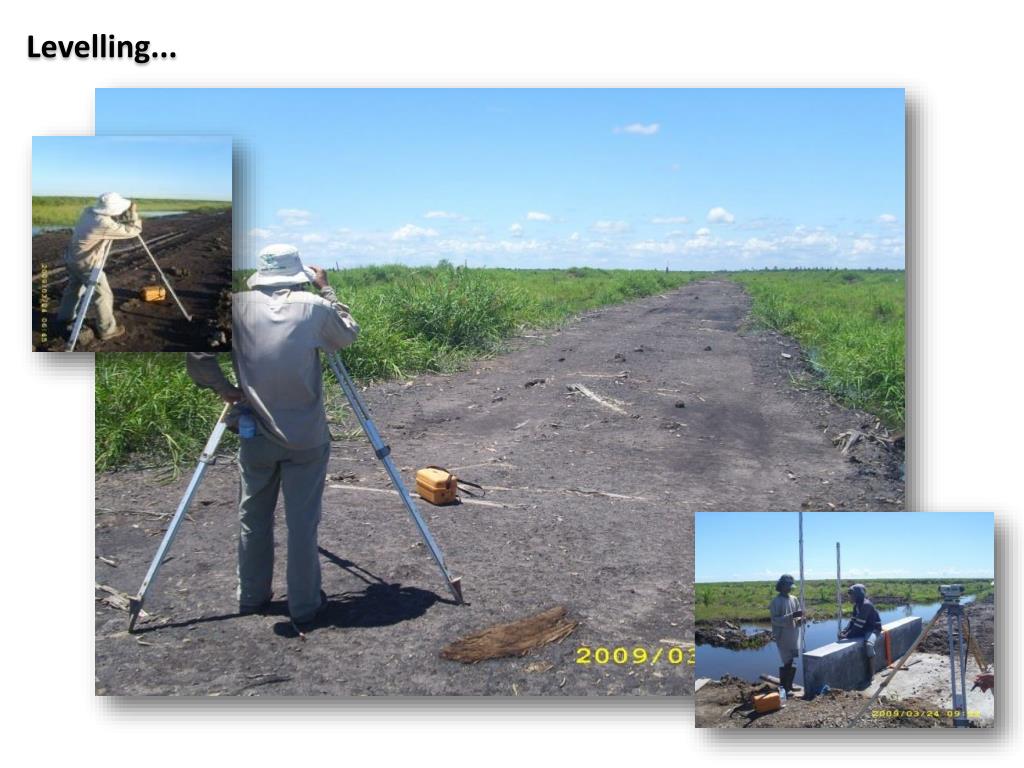 PPT - Contoh Observasi Lapangan di Lahan Sulfat Masam PowerPoint ...