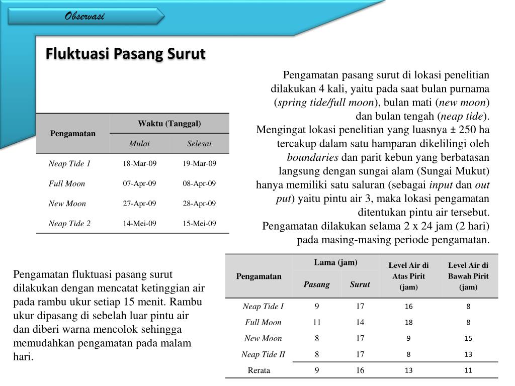 PPT - Contoh Observasi Lapangan di Lahan Sulfat Masam PowerPoint ...