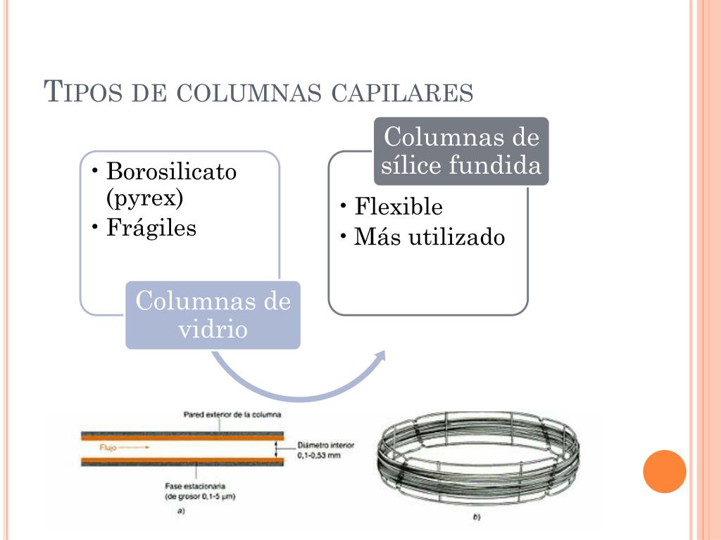 PPT - Historia y evolución de las columnas capilares y su impacto en la ...