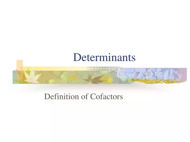 PPT - Determinants PowerPoint Presentation, free download - ID:3253503