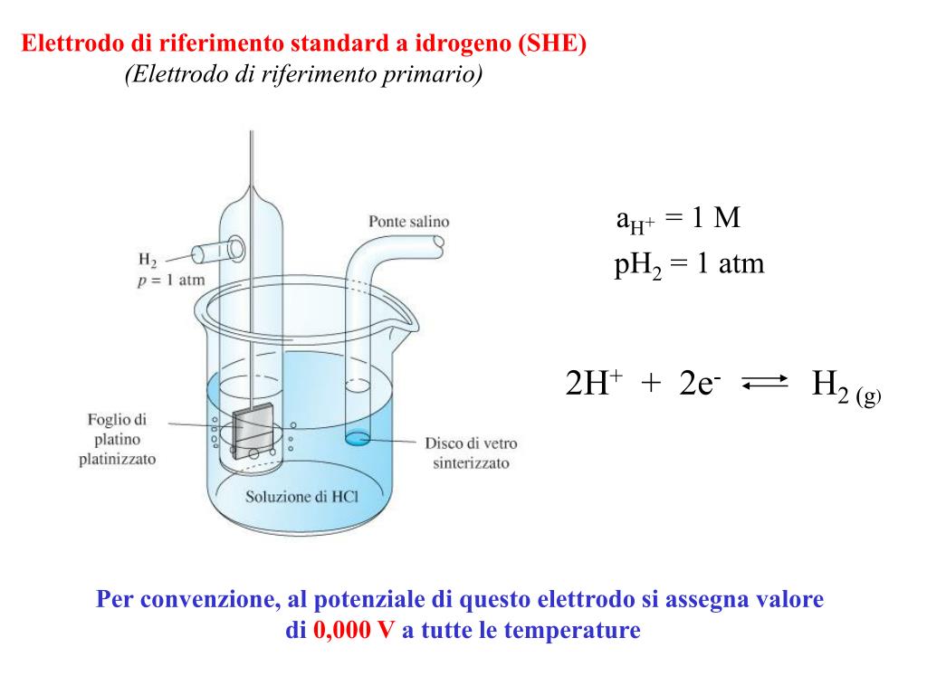 PPT - Elettrodi Il loro potenziale è funzione dell’attività (o ...